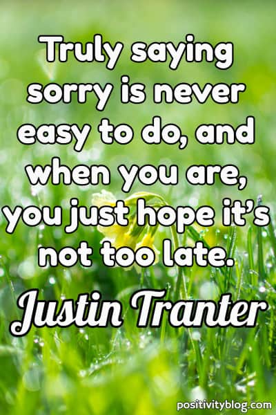 125 Im Sorry Quotes To Help You Apologize And Forgive Someone Big